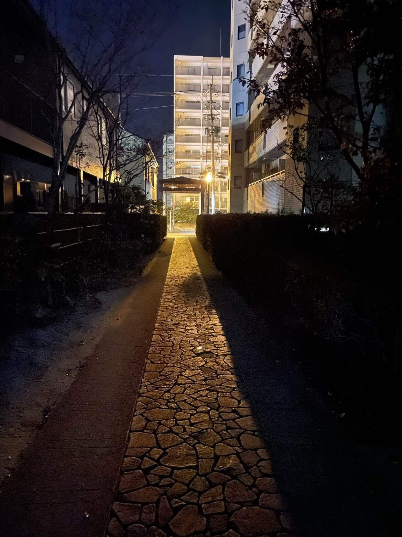 朝散歩。仏嚴寺。｜むらしょう(Sho Nishimura)