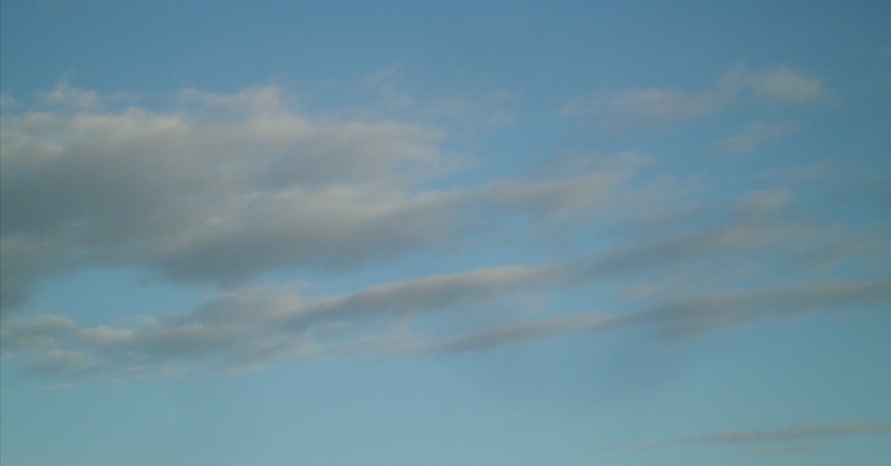 鳥Aves note I-xxxiii｜薄井 灌 Kan Usui