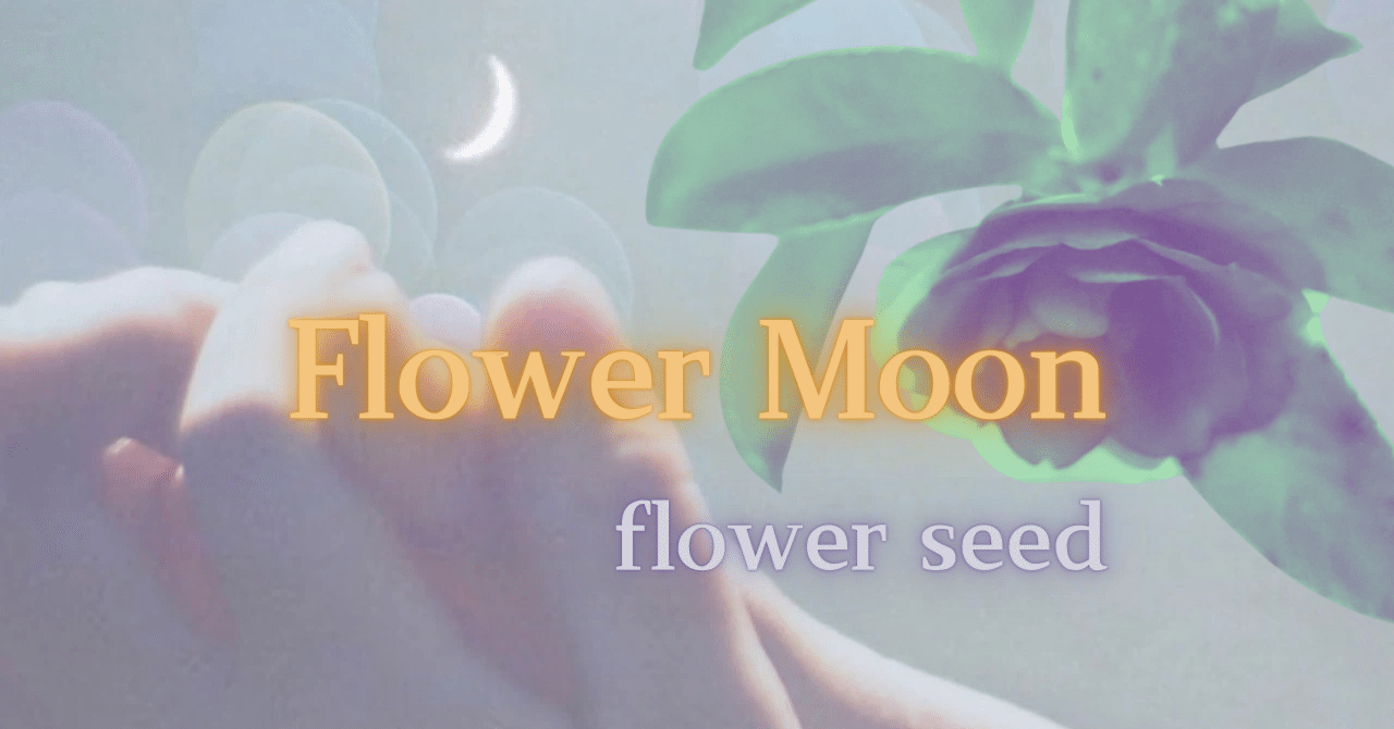『Flower Moon』flower seedオリジナル 第28弾/新曲完成🎵｜cofumi（こふみ）詩＊音楽