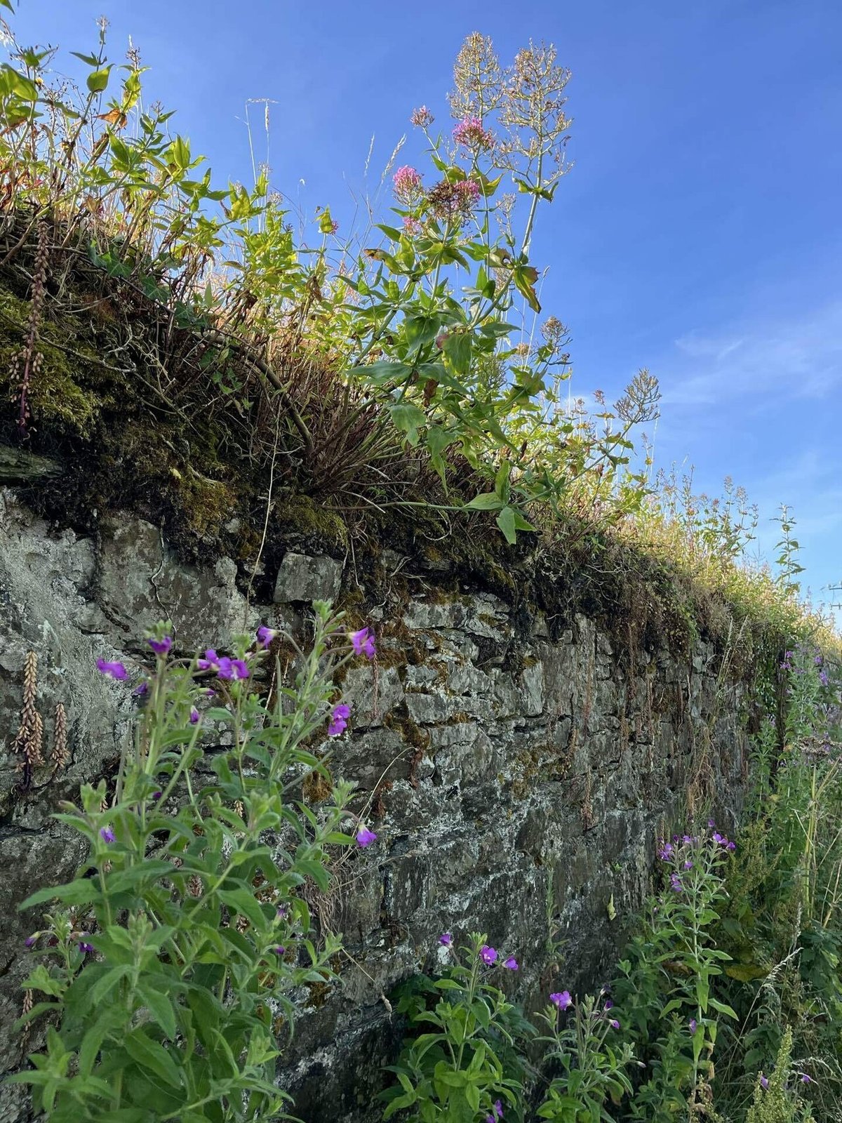 心の境界線｜Chako Amano