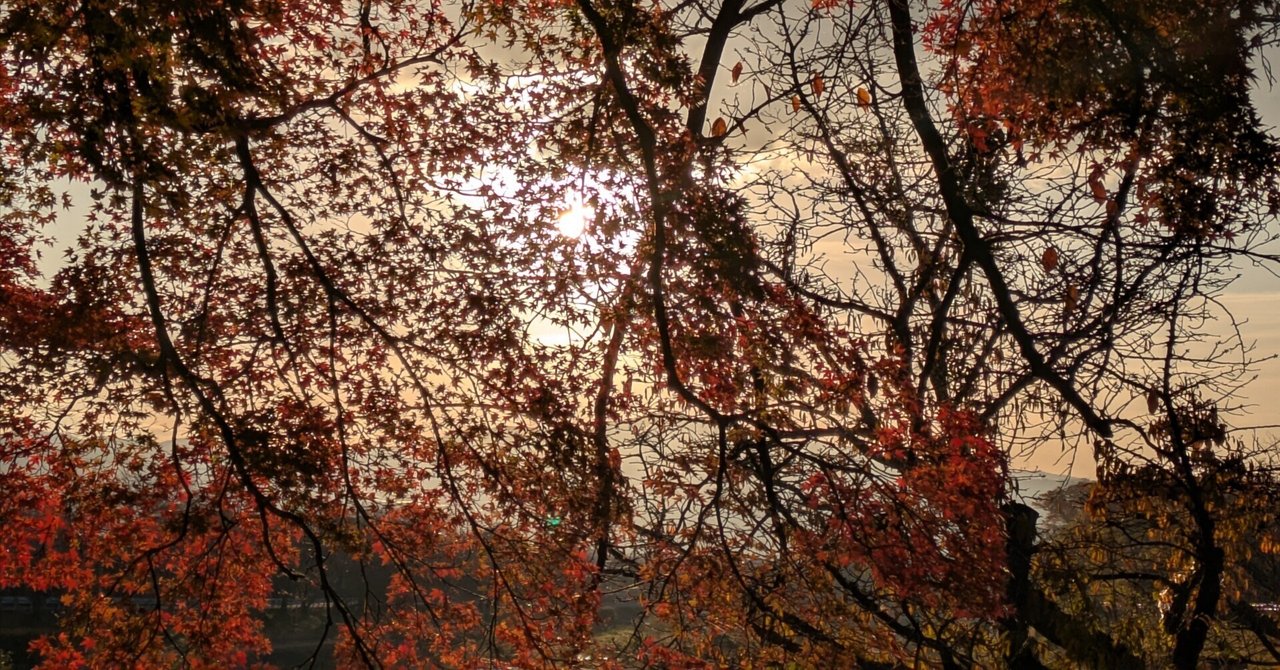 『里恋詩くて・・・熊野・高野』紀伊を愛した怒涛詩人さとちゃんを忘れない【581】｜ichiro70