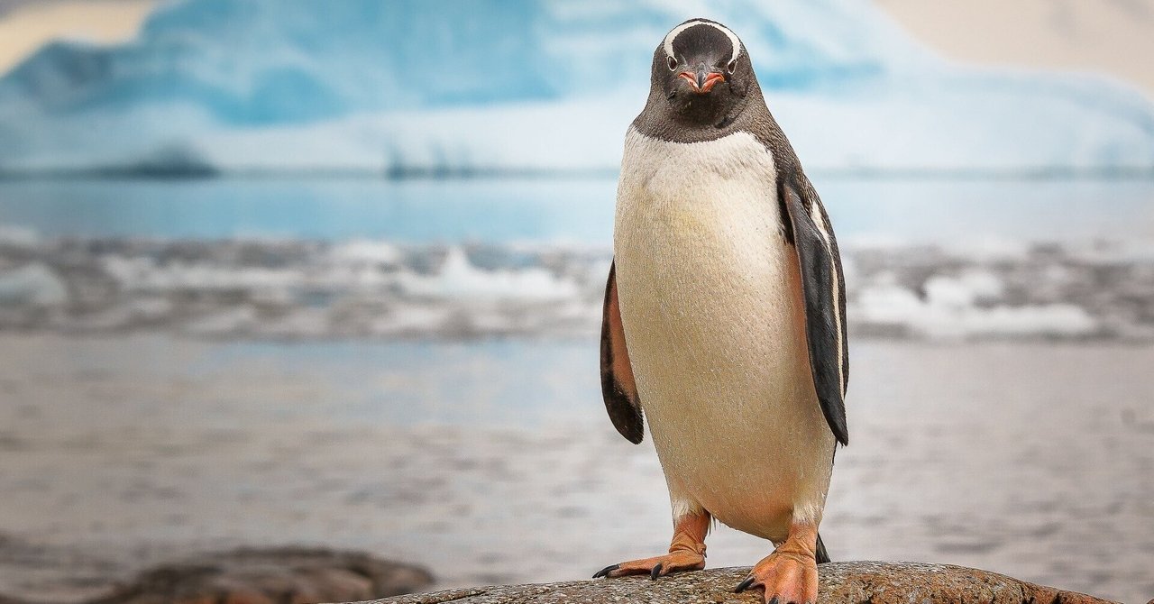 座りがちな生活の改善｜Makoto Okada