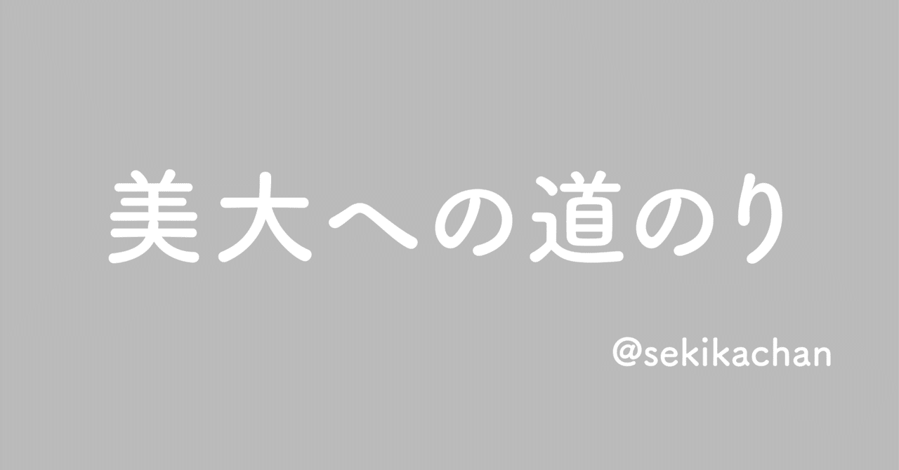 美大への道のり（12月1日文学フリマ東京39寄稿）｜SEKIKA