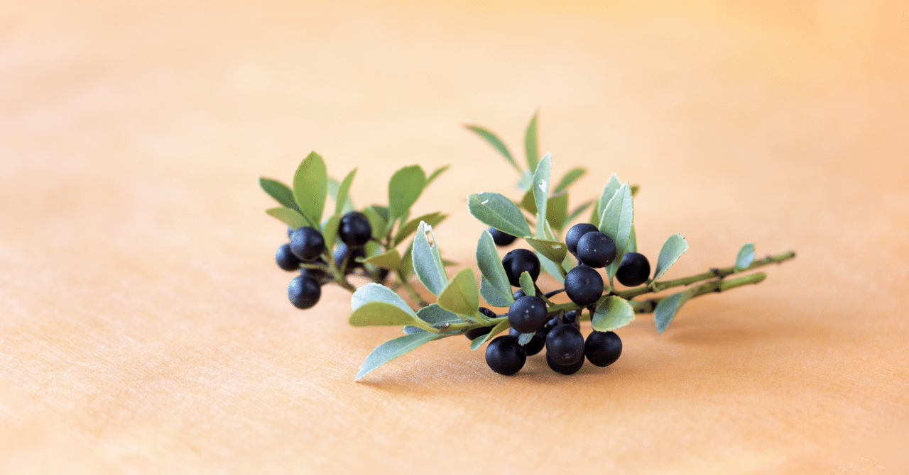 【過去問演習 】許可が不要であってもリスクマネジメントの観点から慎重に判断する必要がある📩：安全保障輸出管理実務能力認定試験(STC Associate)対策 No.101｜とある社会人の自己 ...