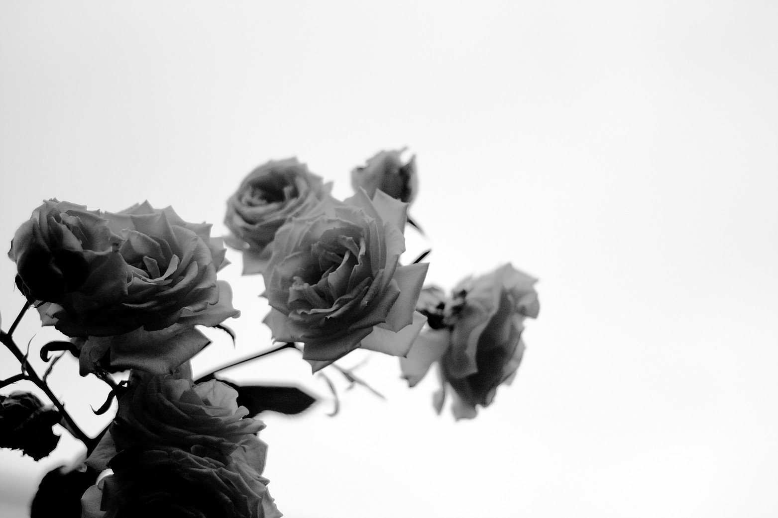 滝沢直人（TAKIZAWA NAOTO）｜note