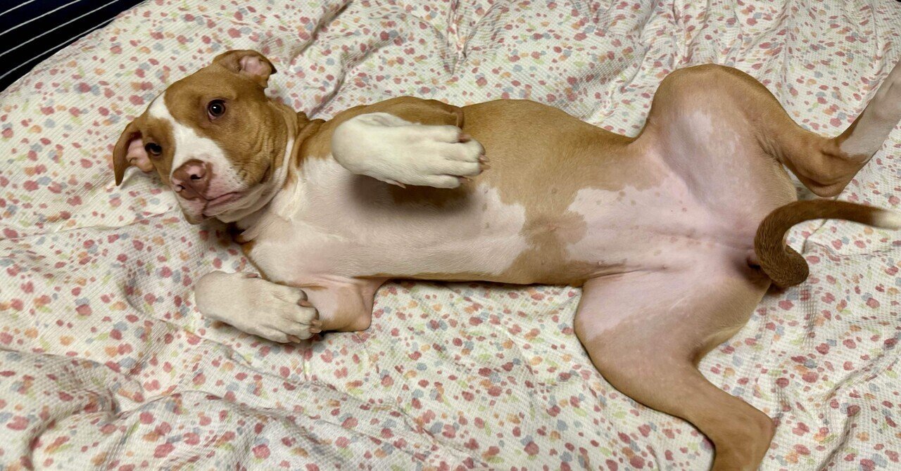 12月7日日記｜jack_raty