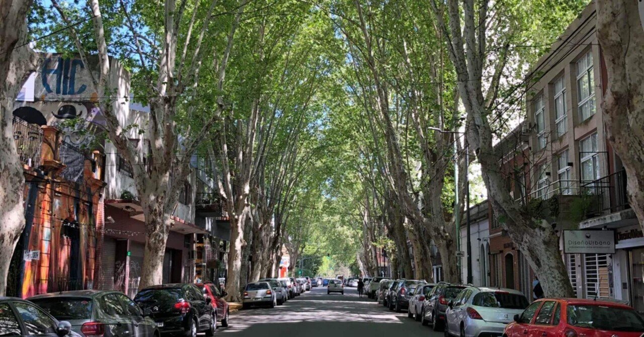 さよなら、マイバディー。ありがとう｜The 9th Ave.