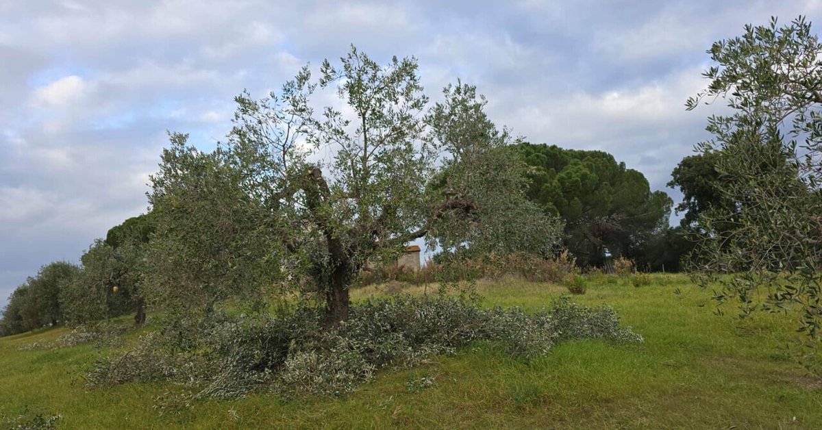 来年に向かう意識｜OTA YUKI