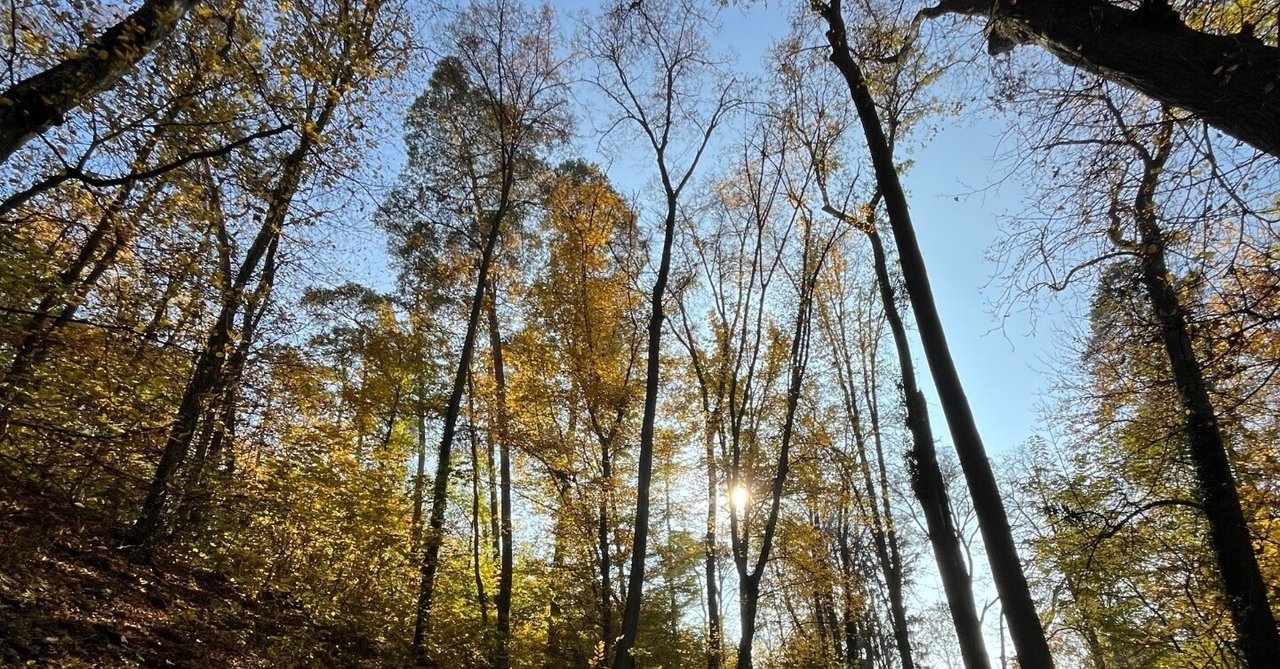 チェコ在住ピアノ弾きのはじめてのnote｜SHOKO