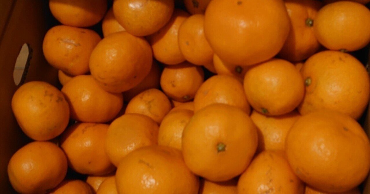 12/8京都11R～阪神JFの予想🔥～｜とと丸 web