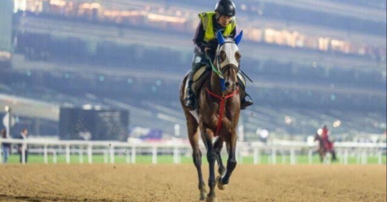 129【川崎競馬】 10662232円キャリオーバー【トリプル馬単やるぞ】｜【ai競馬予想】中央競馬と地方競馬とたんぷく88