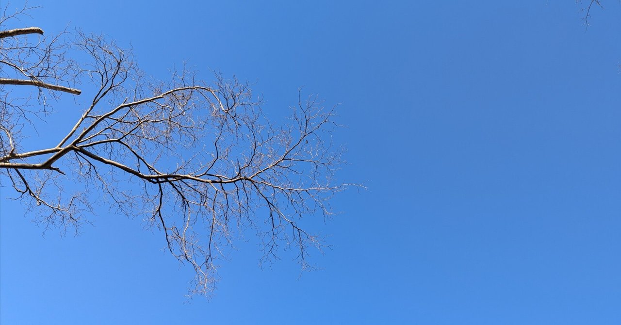 TypeScript 入門の記録（65）プロを目指す人のためのTypeScript入門（49）第5章TypeScriptのクラス（9）｜jnkykn