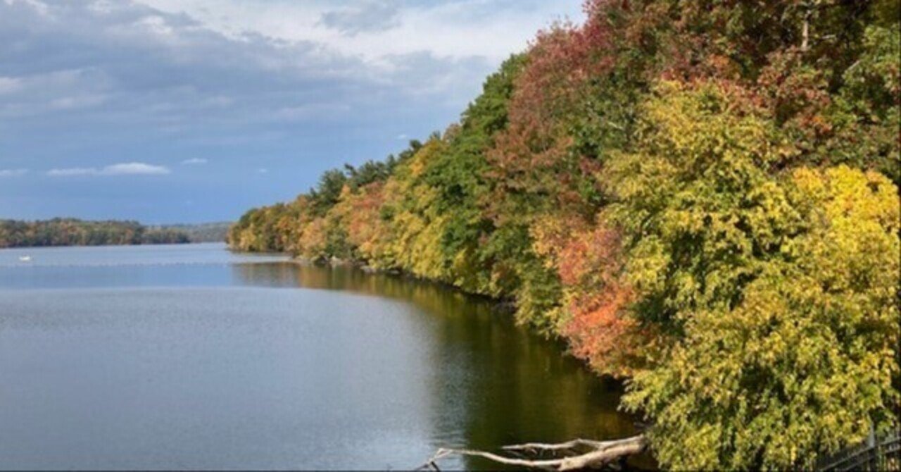 ＃4 ツールで子育て対話～親のためのシステム思考～｜小林 浩子 Hiroko Kobayashi