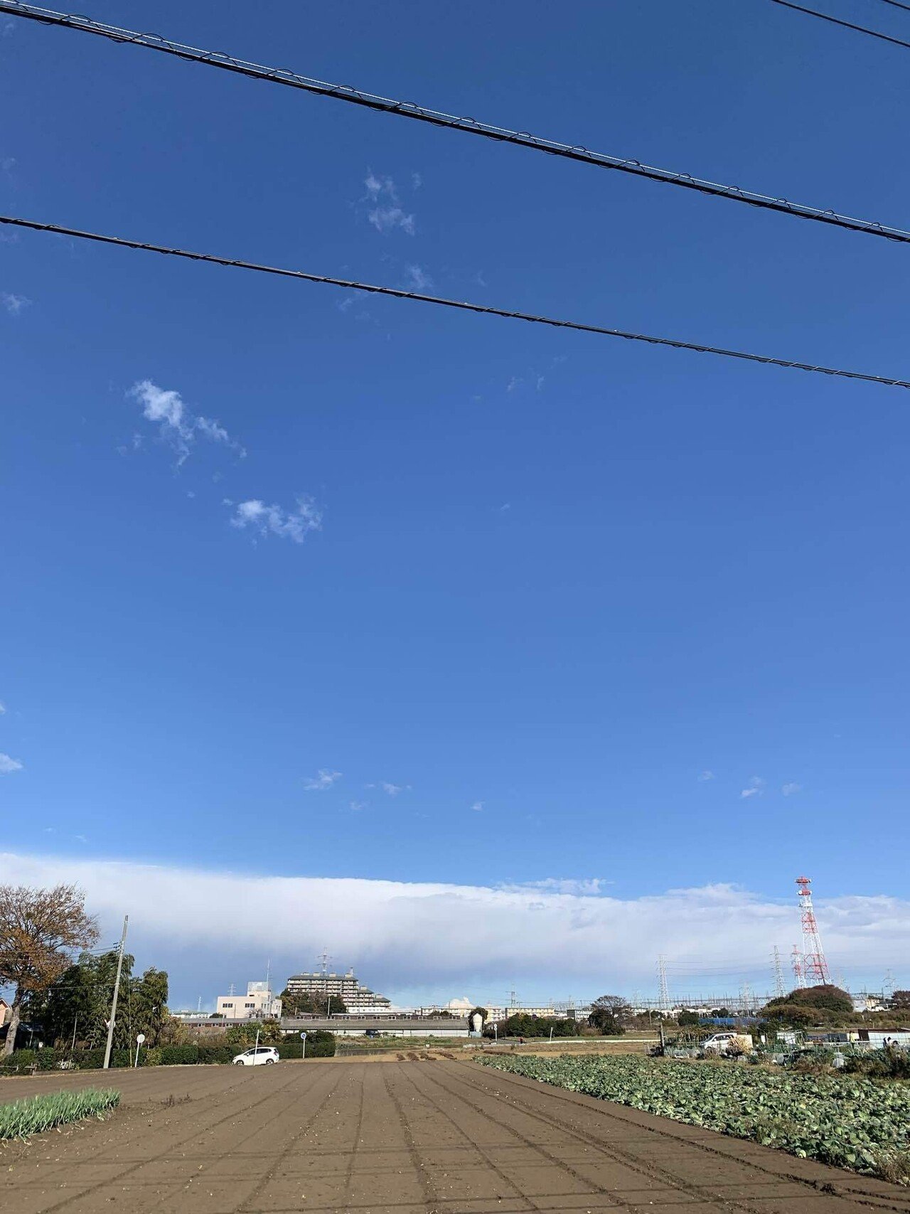 12月8日振返り｜ zawa zawa