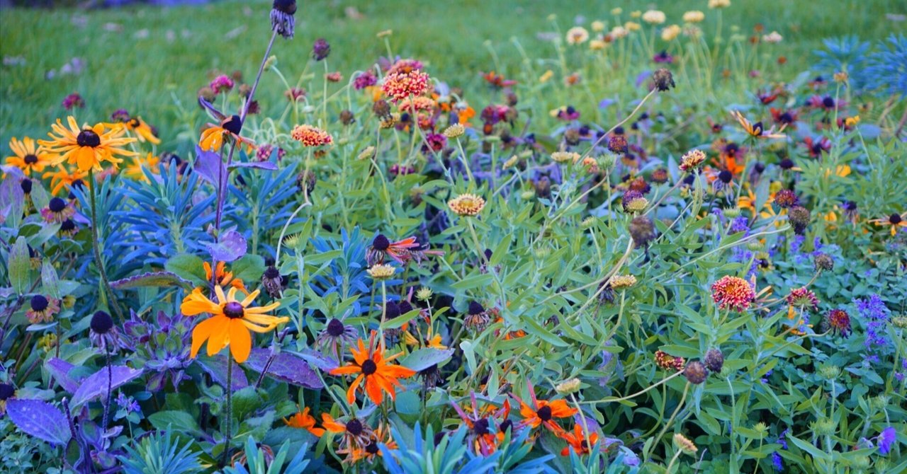 2024.12.8｜Ayami Matsuda