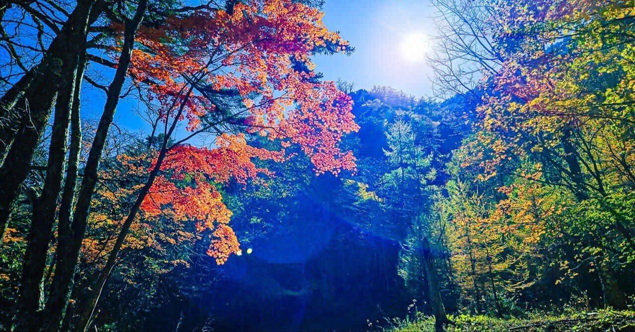 そこにtechはあるか？｜風穴 江／Ko Kazaana（aka. windhole）