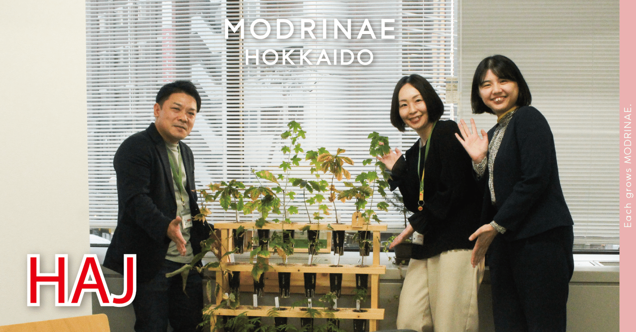 北海道アルバイト情報社の挑戦〜「MODRINAE HOKKAIDO」で育む森づくりの輪〜｜MODRINAE | 木と生を共有する。