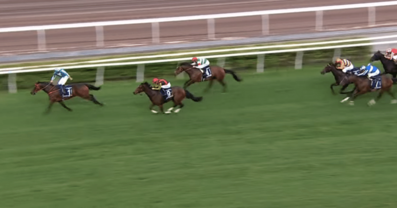 2024年阪神JF&2024年香港国際競走回顧〜荒れた2歳G1、リバティ復活好走も浪漫勇士強く日本馬勝利なく〜｜ぱねす