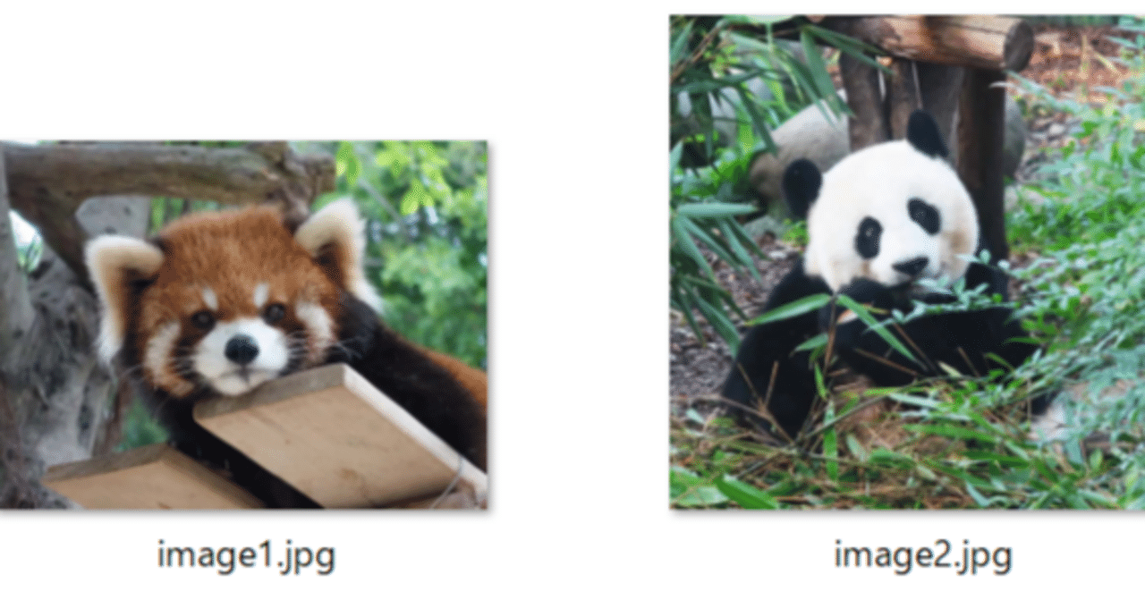 WSL2でInternVL2_5-8Bを試してみる｜noguchi-shoji