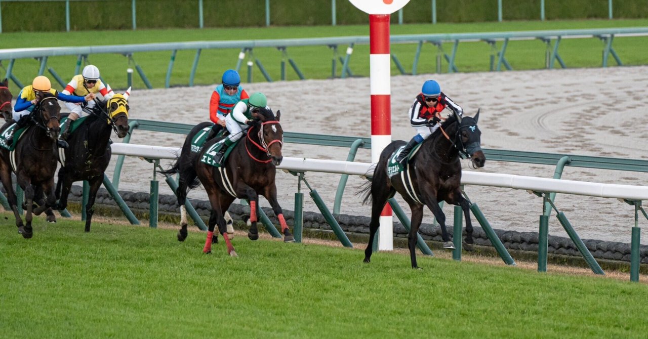 【中日新聞杯（g3）回顧～その先へ】日刊コンピ篇｜haya