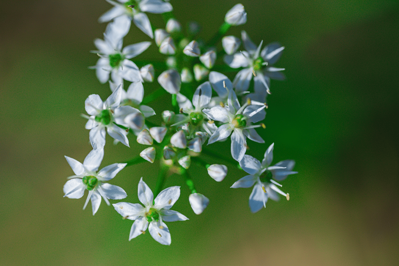 一点の曇りない空眩しくて頭を垂れて影を踏みしめる ｜Shinichi Sendagi
