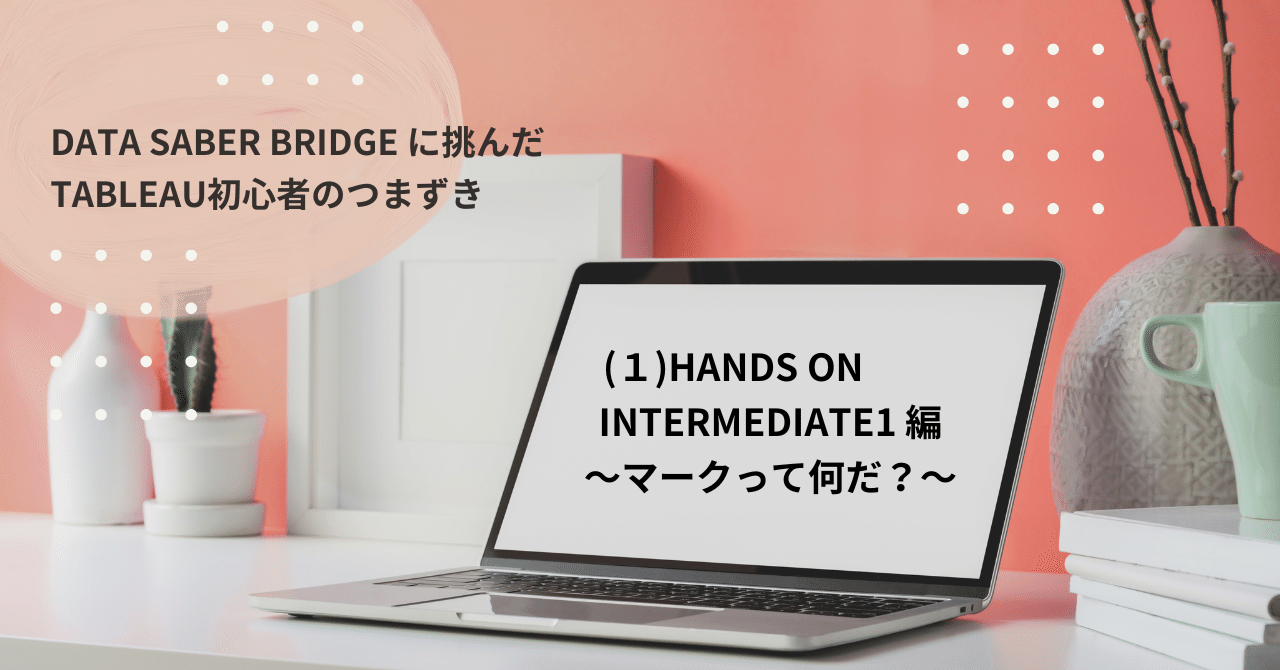 Data Saber Bridge に挑んだTableau初心者のつまずき（1）Hands on Intermediate1編～マークって何だ？～｜のぐっちゃん