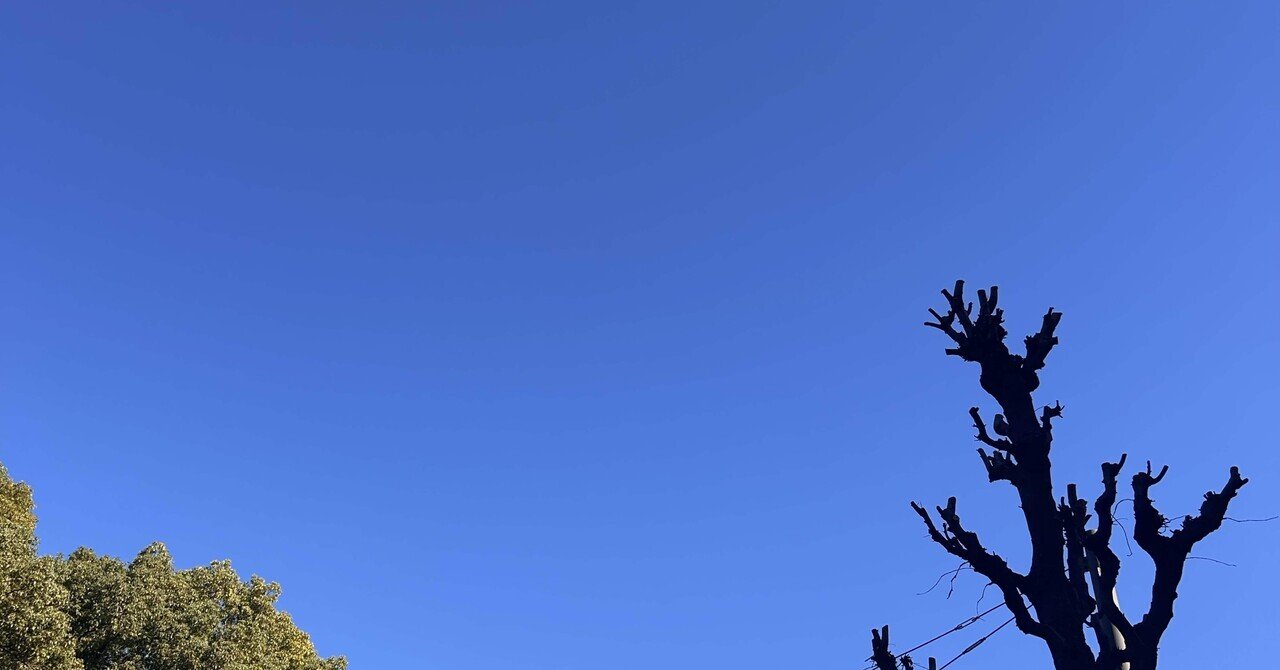 求めるということ。｜Kazuki Senga