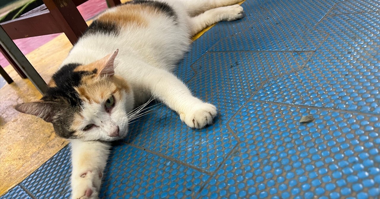 海外赴任のリアル vol.1｜Tom Tally