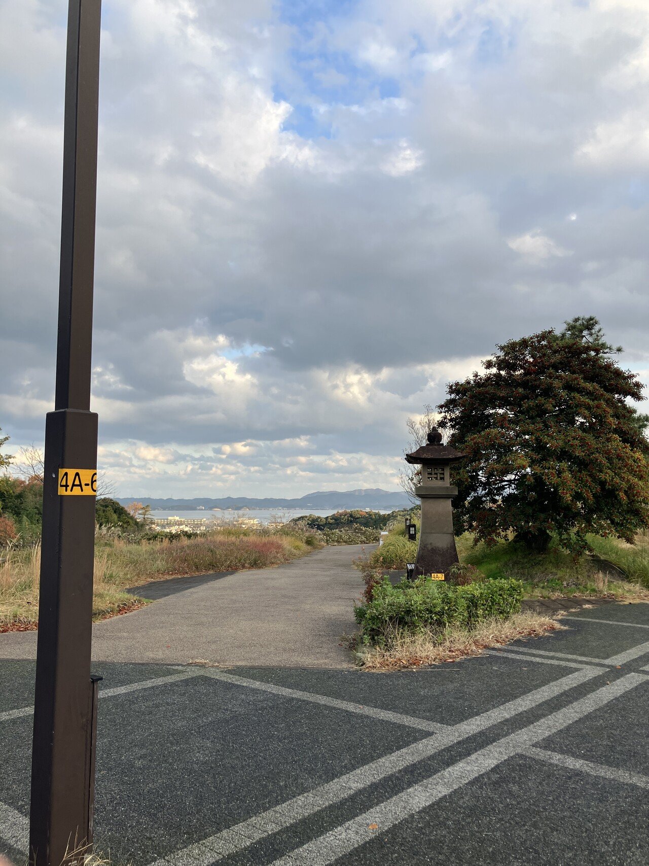 4A-6 クロガネモチの實 4A-7｜Hiz_Japonesia