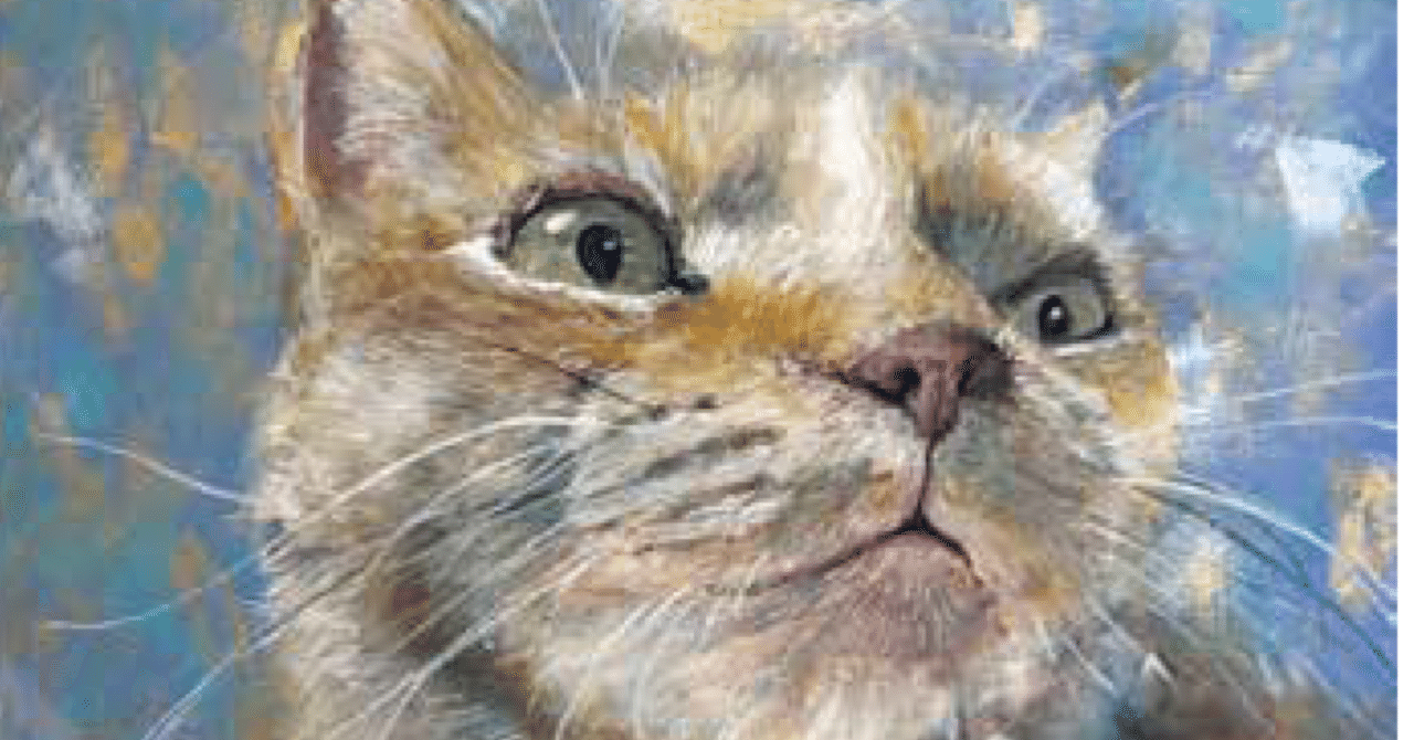 冨山竜一展・眼の前にみえるもの｜Ryuichi tomiyama