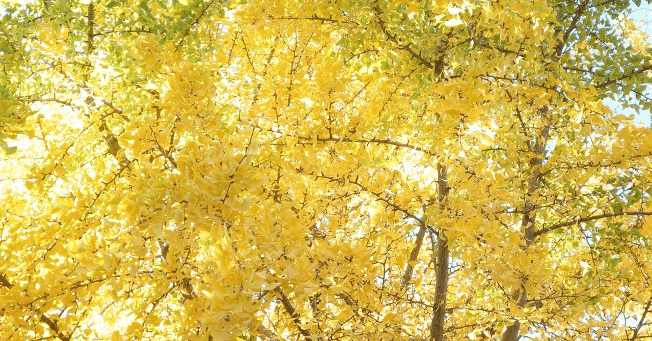 レッテル貼りの人間関係から解放される｜世田谷のDINKs(幸福な子なし夫婦)