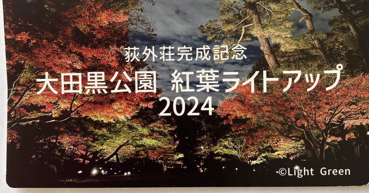 大田黒公園の紅葉ライトアップ｜yoshie_FW