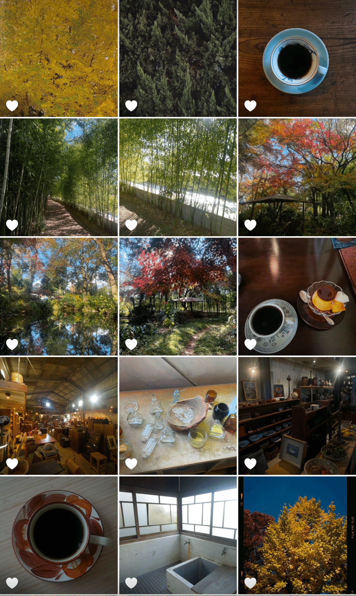 私のお気に入りの今シーズンの写真たちです(のが多いな)｜tamaki_69