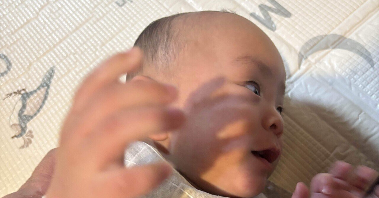 215.親愛なる息子へ｜Dearson