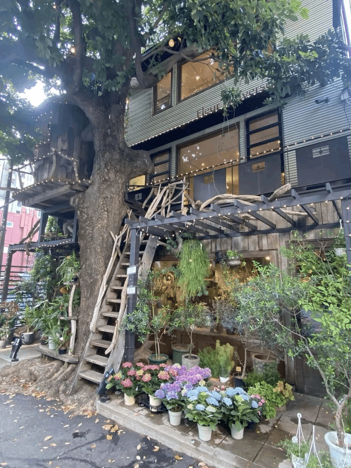 東京建築巡り〜年間人気ランキング13位｜東京の建築&アート巡りオタク@tanrock