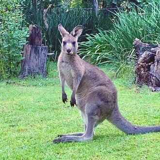 七井マリ Mari Nanai｜note