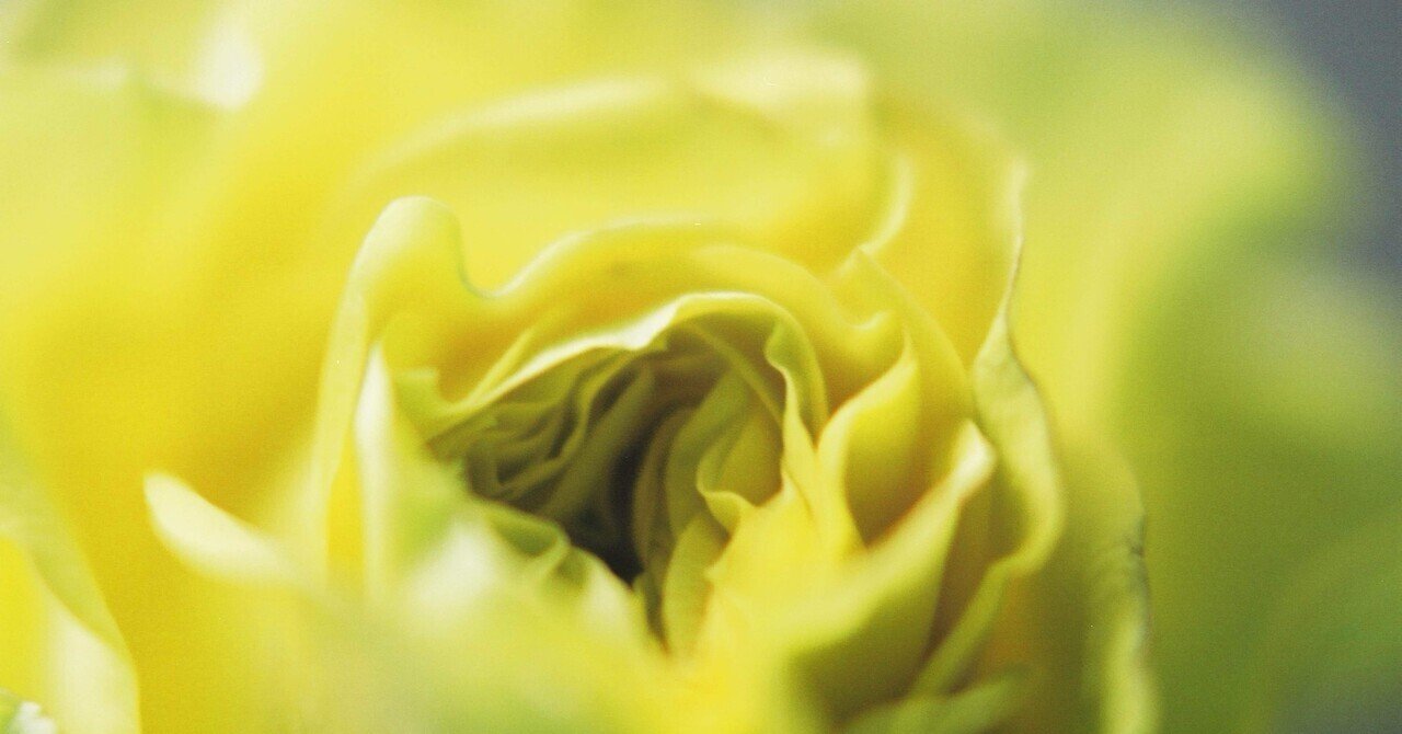 打ち破る力、・｜Cosmic Suzu