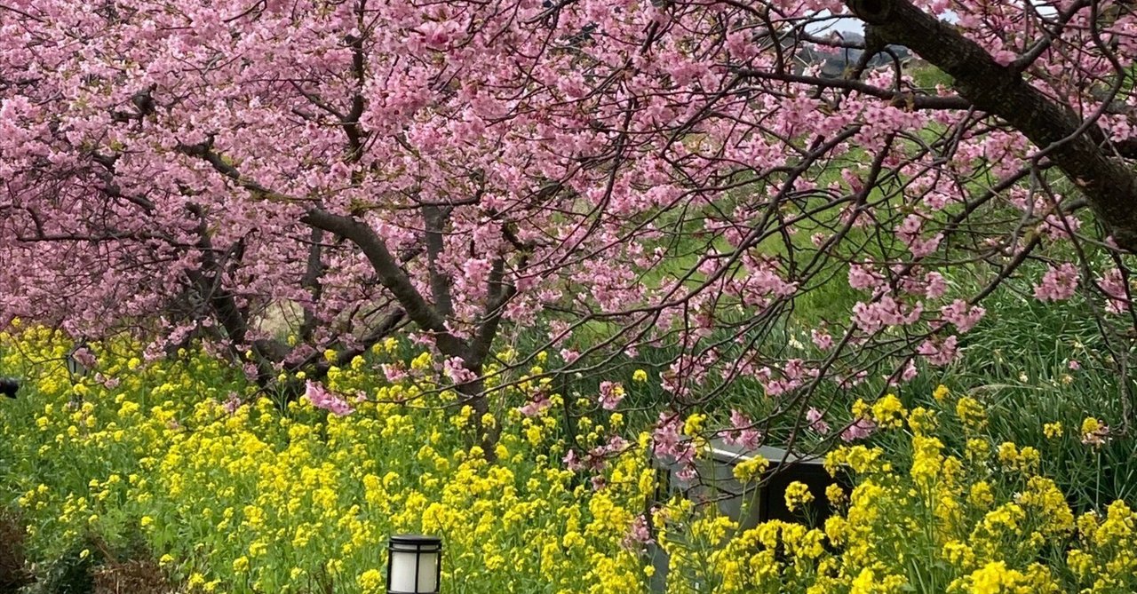 自己紹介 はじめまして｜Nao‐Kao