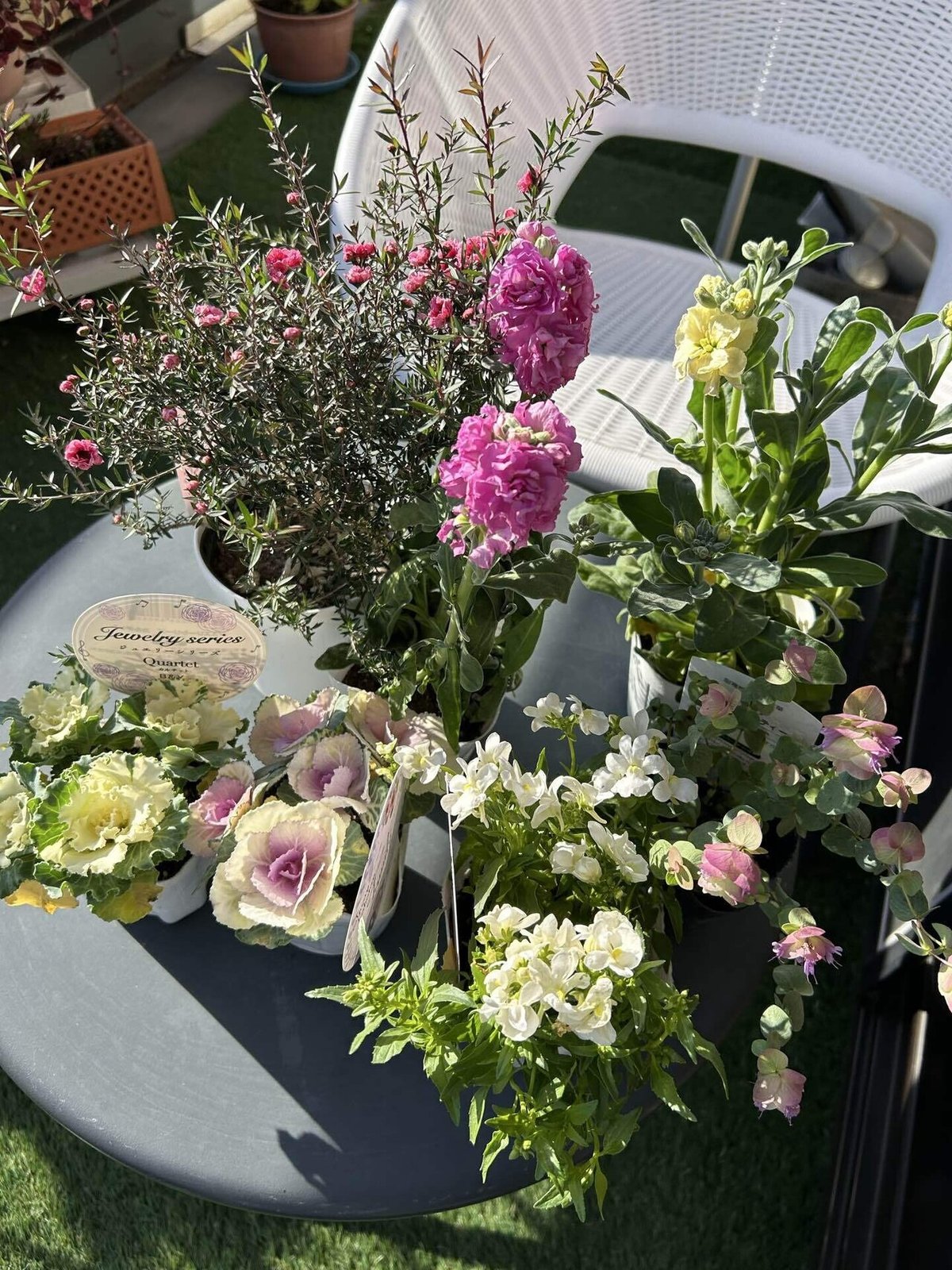 禁酒3年86日…冬のガーデニング🌻🌹🌼🌸🌺｜rira_koro