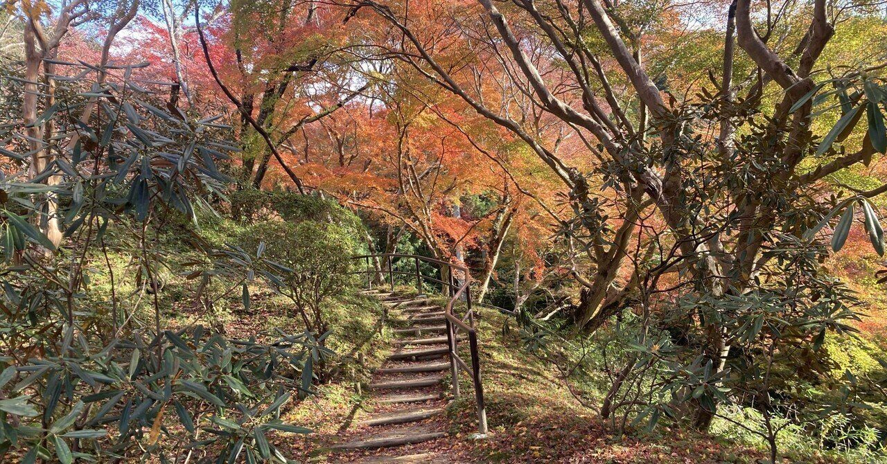 睡眠を大切にしてきた妻と睡眠を大切にしてこなかった僕｜島本 貴成（takanari.shimamoto）