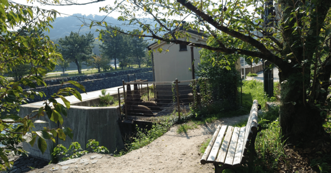 #3 12/11の記録｜かしはら もとき/Kashihara Motoki