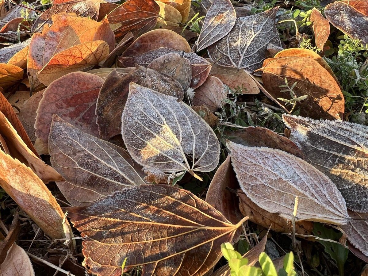 DAY 99 思ったほど寒くない｜jucon110