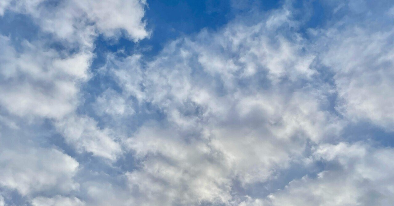 12/12園田11R狙い馬｜土一（棚卸し）