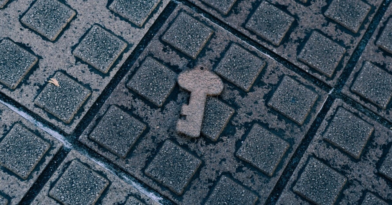 写真log | 20241210｜Shiki