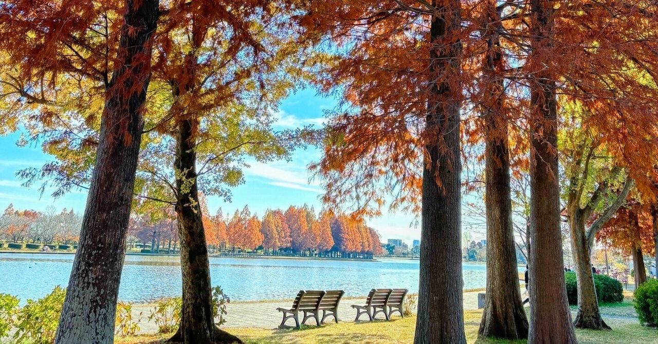 恋文、求ム｜詩＆写真｜rira