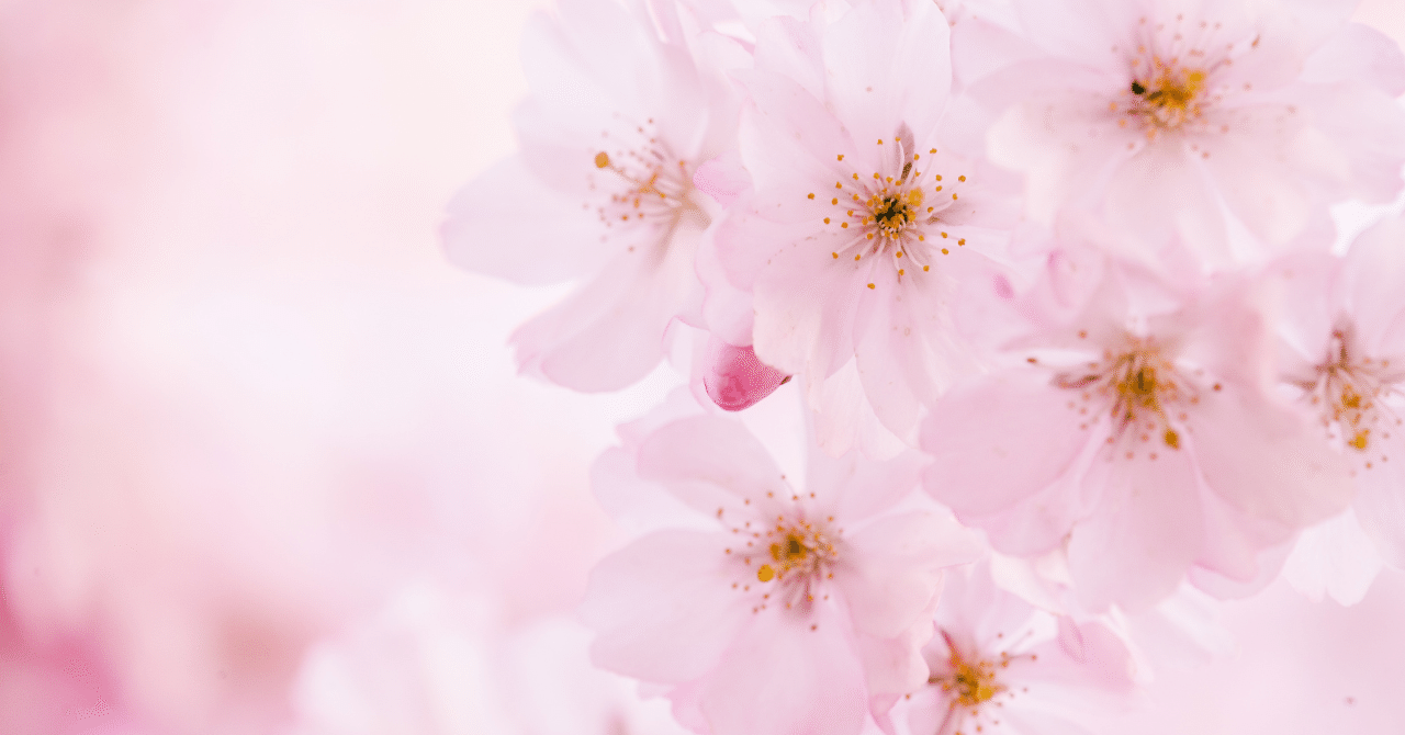 Koki_Kobayashi｜note