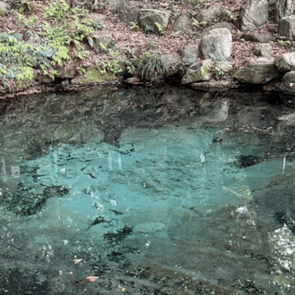 自分らしく生きる｜cochimi chan