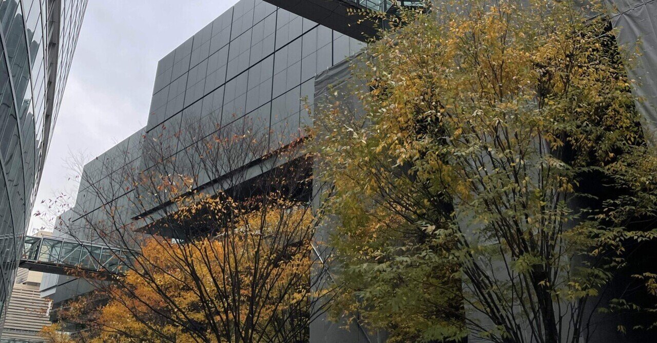 寝るまえ日記 20241213｜tsuchimi