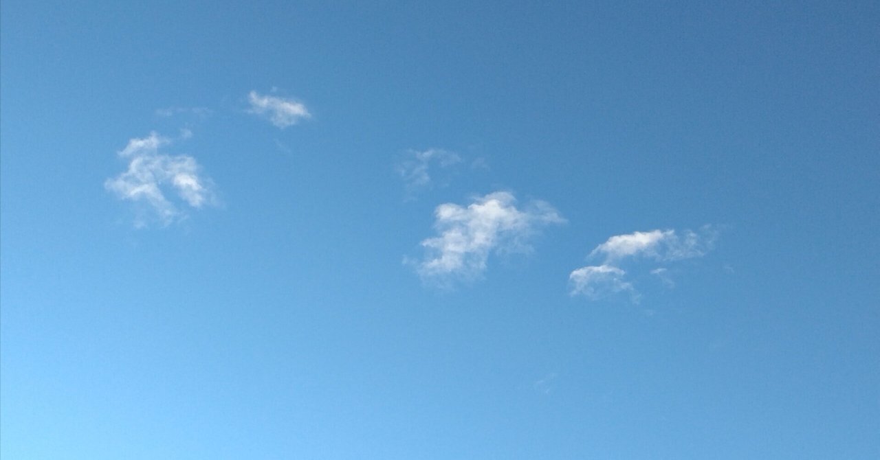 鳥Aves note II-xxxiv｜薄井 灌 Kan Usui