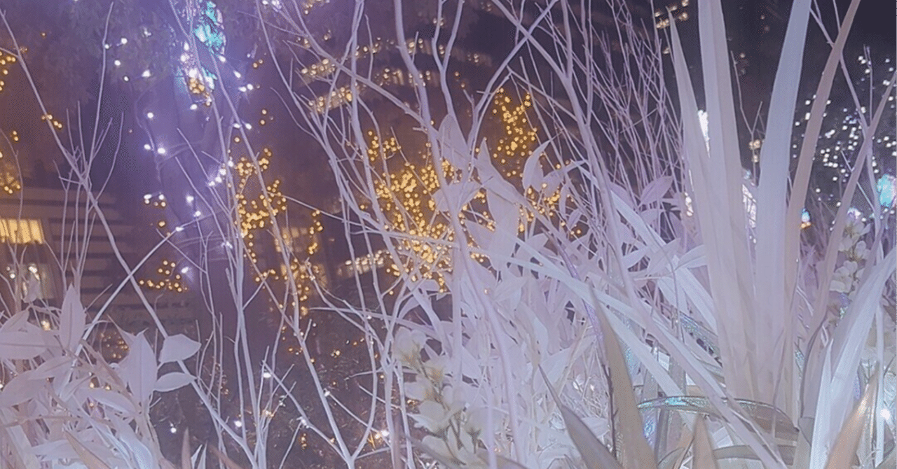 [海外大受験] 志望校を決めた経緯②｜Hinano Sato